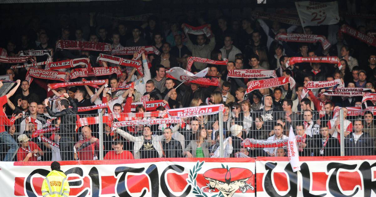 Bokep negro vs jepang