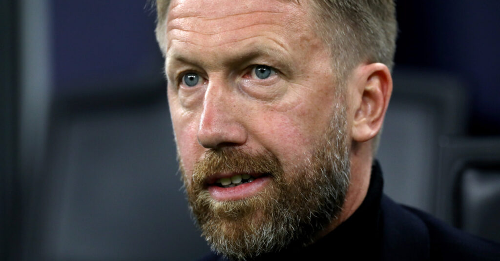 Sweden boss Potter fears he was bitten at World Cup 2026: 'I've got to ...